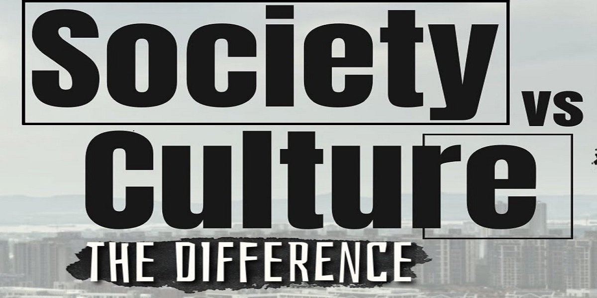 Understanding of Culture and Society: What's the Difference in 2023? - YezzBuzz